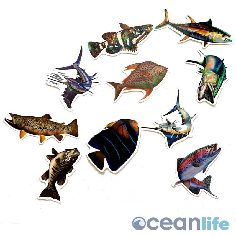 Ocean Life Fish Stickers - 50 Removable Stickers – Ocean Life Store